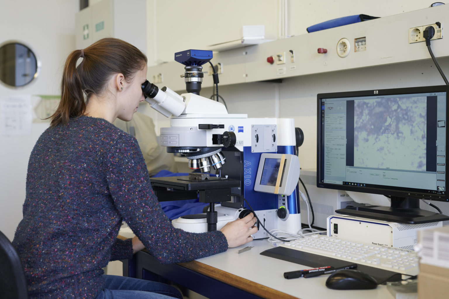 Microscopy and analysis - Institute for General Materials Properties